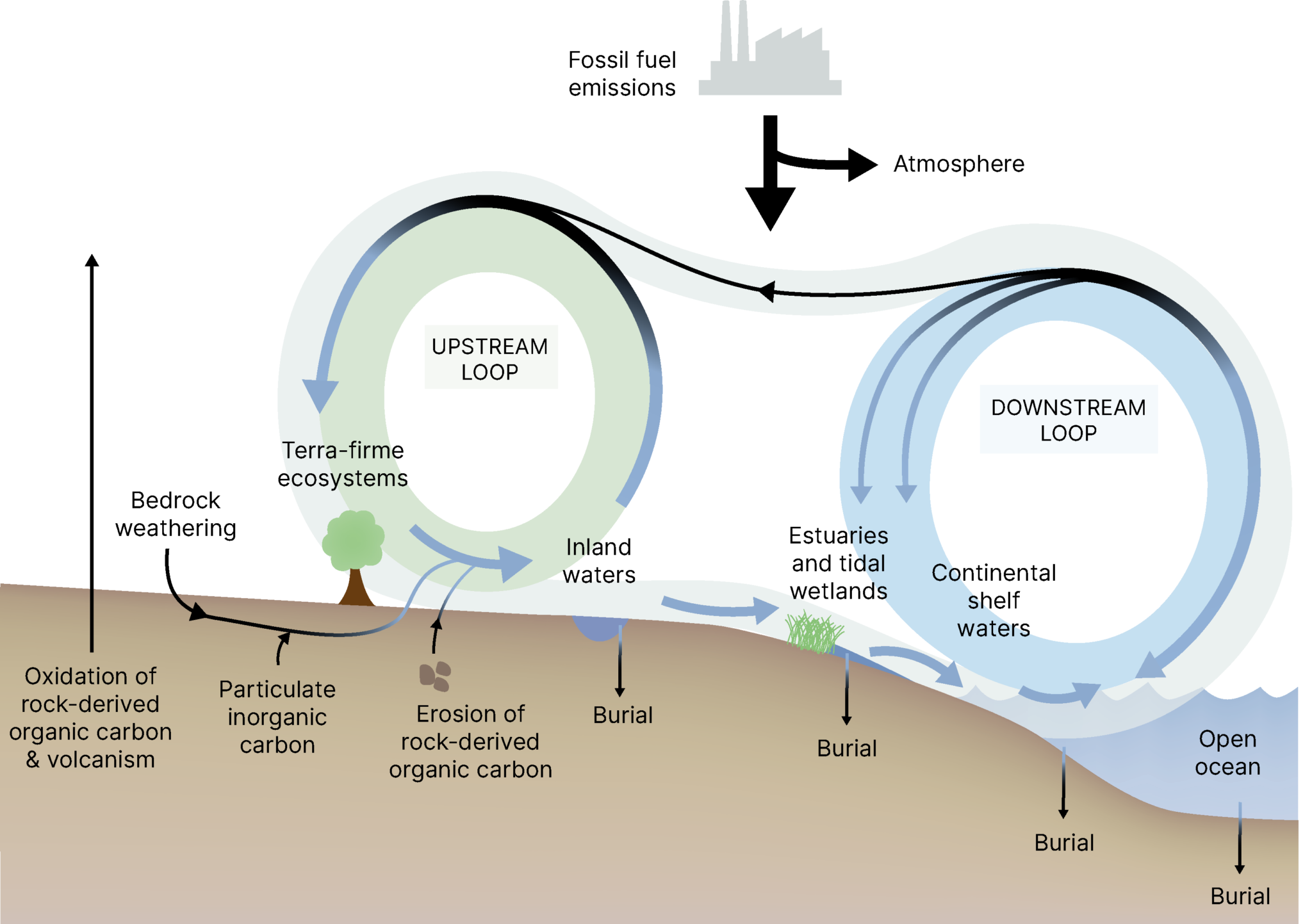 Modelling carbon fluxes from the land to the open ocean: a journey ...