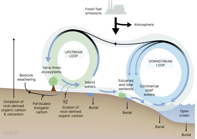 Modelling carbon fluxes from the land to the open ocean: a journey ...
